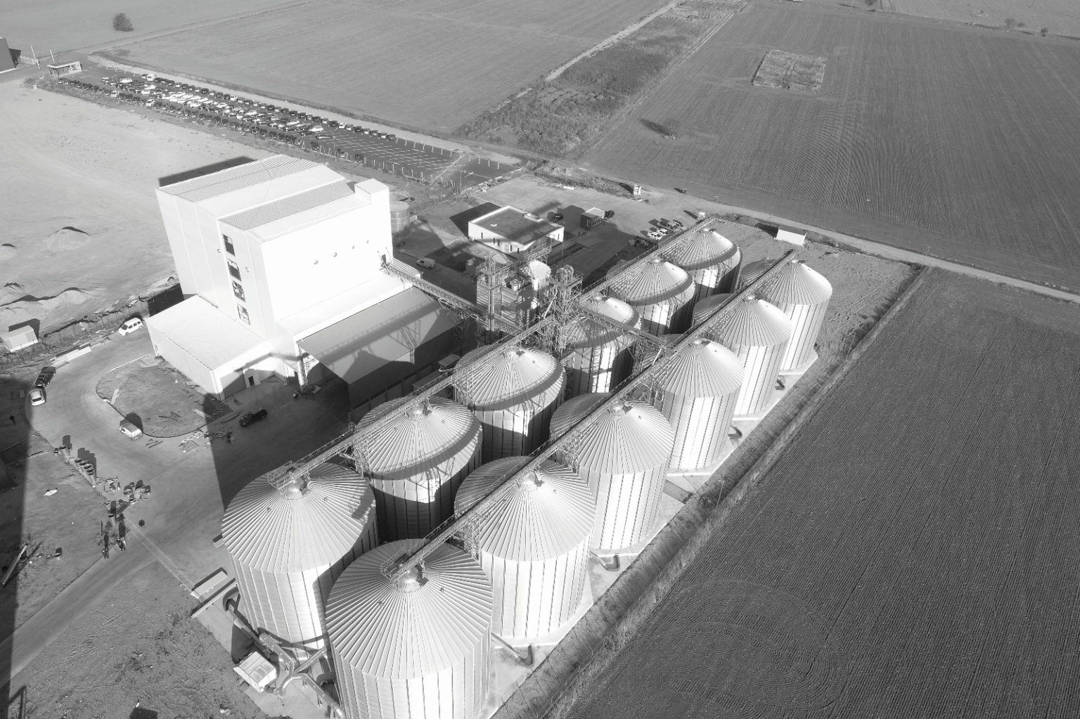 Procesare - Nutrientul Group